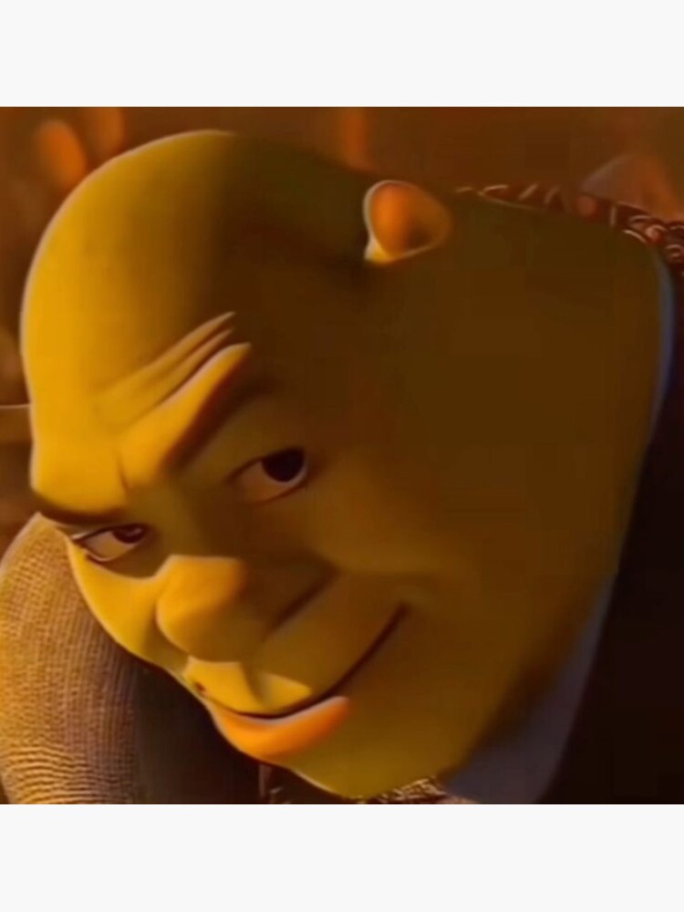 "Shrizz Shrek Rizz Meme From Shrek The Third" Sticker for Sale by Neesu ...