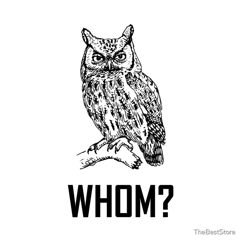 "Cartoon Owl Whom Funny" by TheBestStore | Redbubble