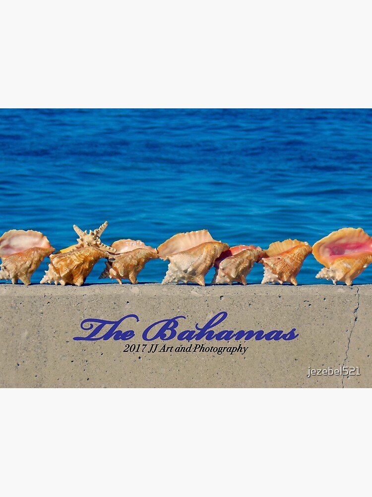 "The Bahamas - Shells" Poster for Sale by jezebel521 | Redbubble