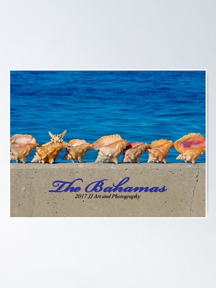 "The Bahamas - Shells" Poster for Sale by jezebel521 | Redbubble