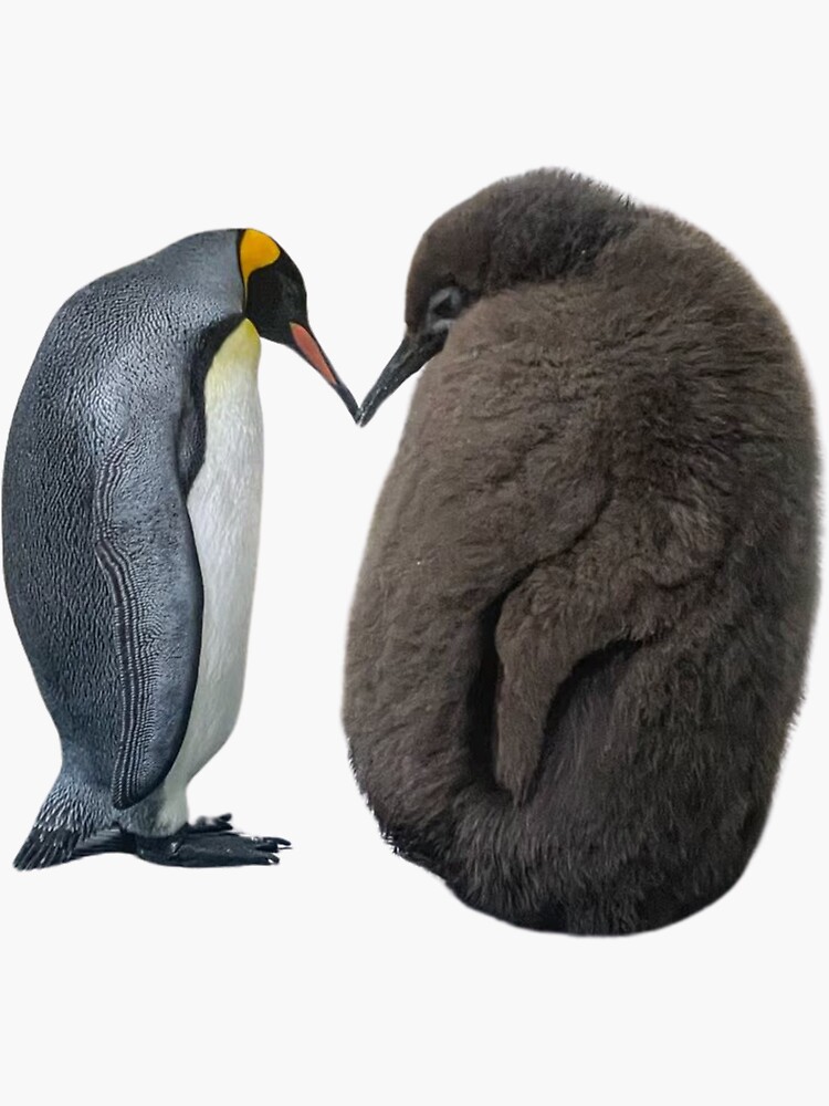 "pesto the penguin" Sticker for Sale by hrencso | Redbubble