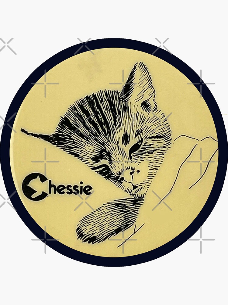 "Vintage Chessie System - Purrfect Transportation" Sticker for Sale by ...
