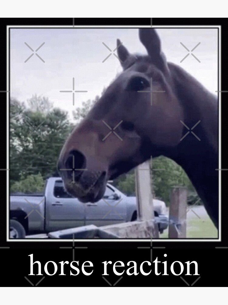 "horse reaction meme gif" Sticker for Sale by infamous-cat | Redbubble