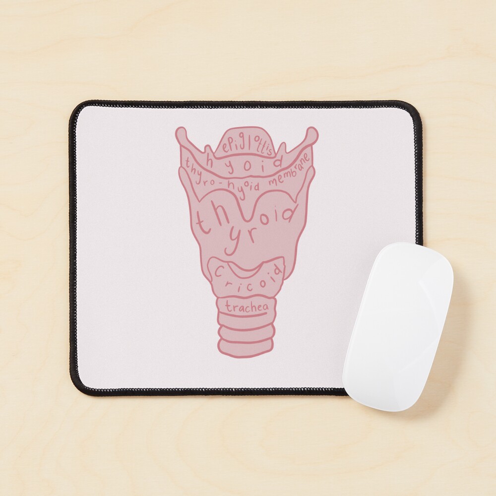 "Larynx Anatomy Cute Diagram" Sticker for Sale by speechiesandco ...