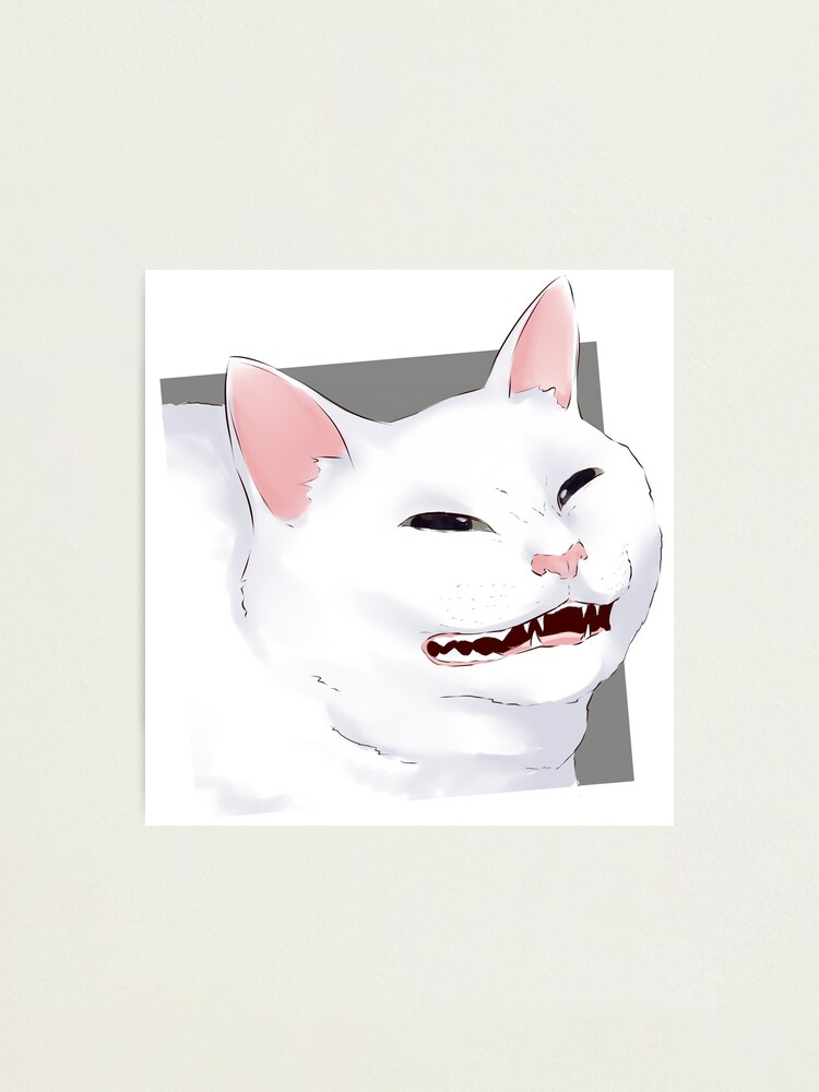 "Angery Cat - Angry catto meme " Photographic Print by sassylin | Redbubble