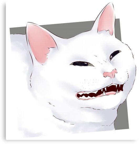 "Angery Cat - Angry catto meme " Canvas Prints by sassylin | Redbubble