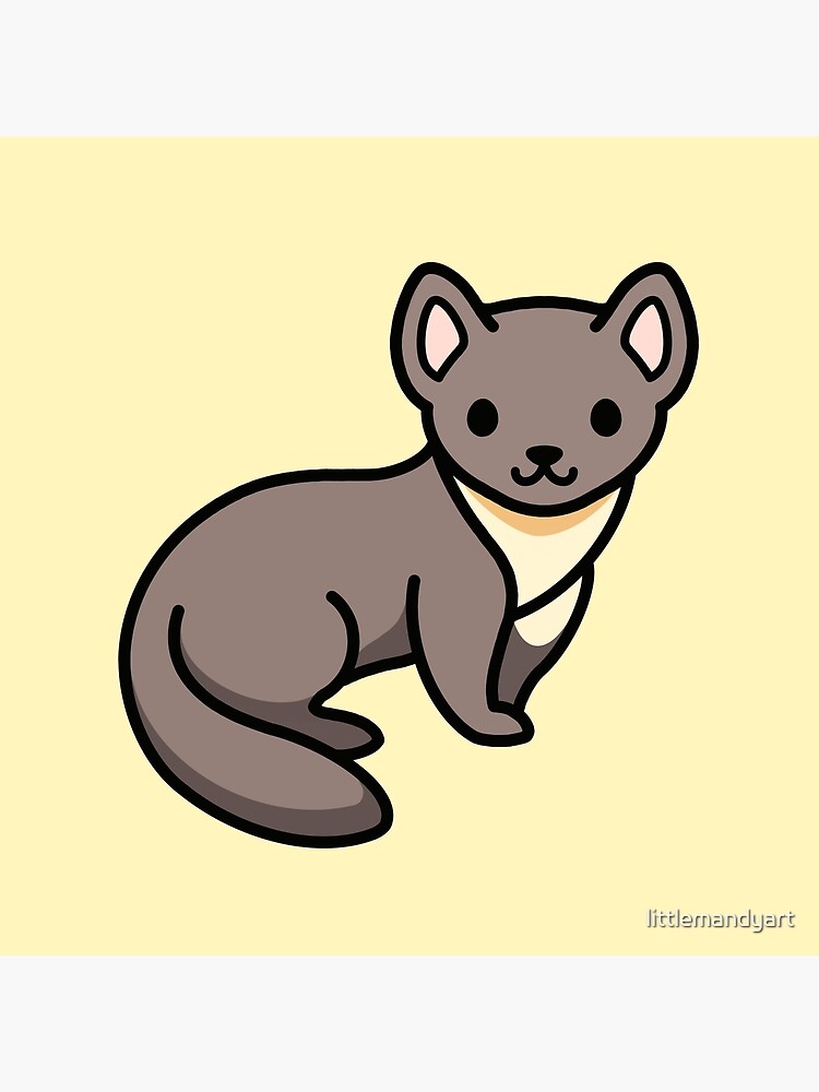 American Marten Drawing