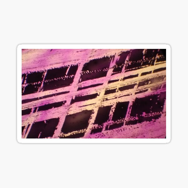 "Black Purple Glass Scratch Microscope 80x" Sticker by Eastcook | Redbubble