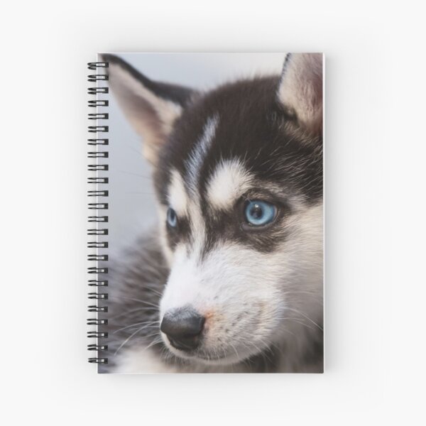 Husky Spiral Notebooks | Redbubble