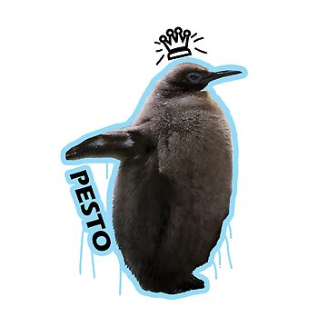 "Pesto the big baby penguin" Sticker for Sale by kripalsutariya | Redbubble