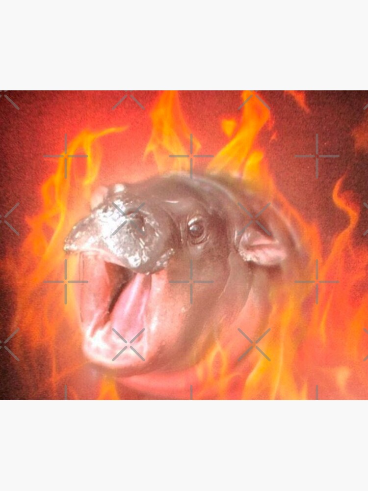 "Moo Deng Meme Flames" Poster for Sale by shoxio | Redbubble