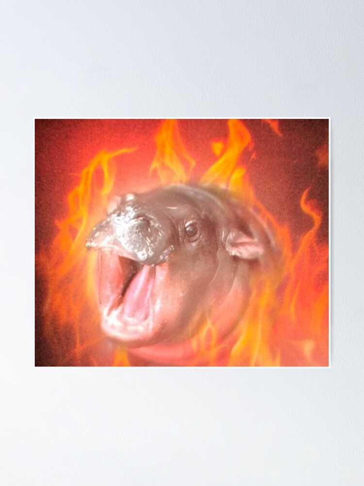 "Moo Deng Meme Flames" Poster for Sale by shoxio | Redbubble