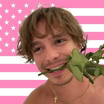 "Nicholas chavez with rose pink american flag" Sticker for Sale by jesodigital | Redbubble