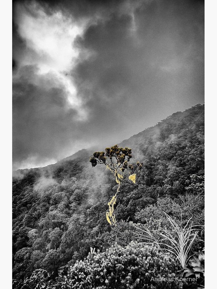 ""loneliness" " Poster by AndreasKoerner | Redbubble