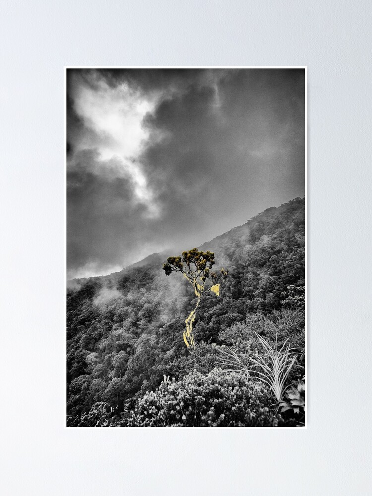 ""loneliness" " Poster by AndreasKoerner | Redbubble