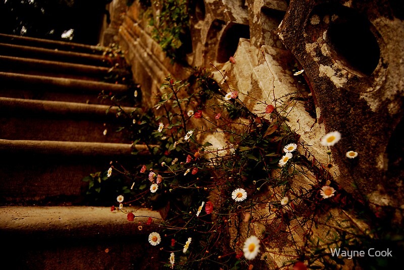 "The Steps, The flowers...Monserrate, Lisbon, Portugal" by Wayne Cook ...