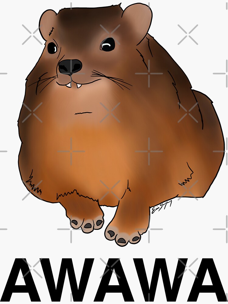 "Hyrax - AWAWA" Sticker for Sale by ErinLaura | Redbubble