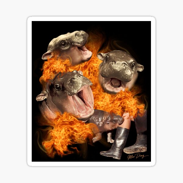 "Moo Deng Is Fire!" Sticker for Sale by ourkid | Redbubble