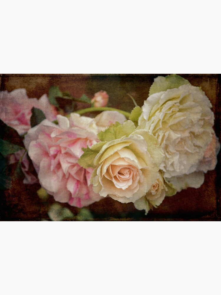 "Rose 308" Poster for Sale by secretgardener | Redbubble