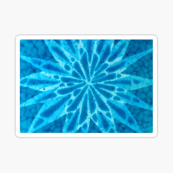"COLOR BURST: TURQUOISE" Sticker by arthistorymajor | Redbubble