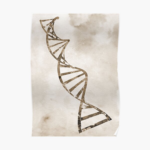 "Double helix" Poster by erzebetth | Redbubble