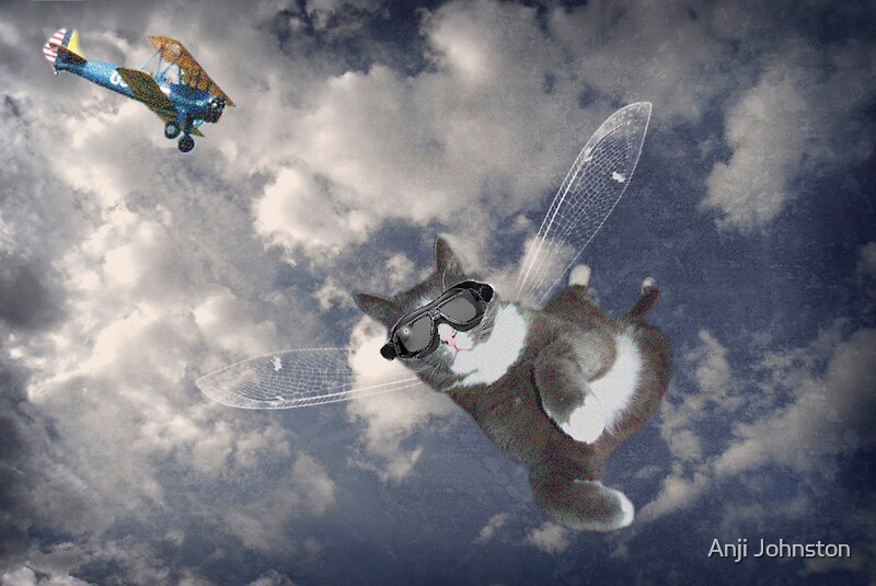 "The Adventures Of Kit Kat" by Anji Johnston | Redbubble