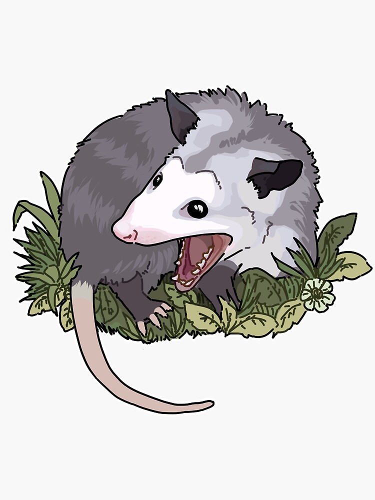 "Screaming possum" Sticker for Sale by Lemongu | Redbubble