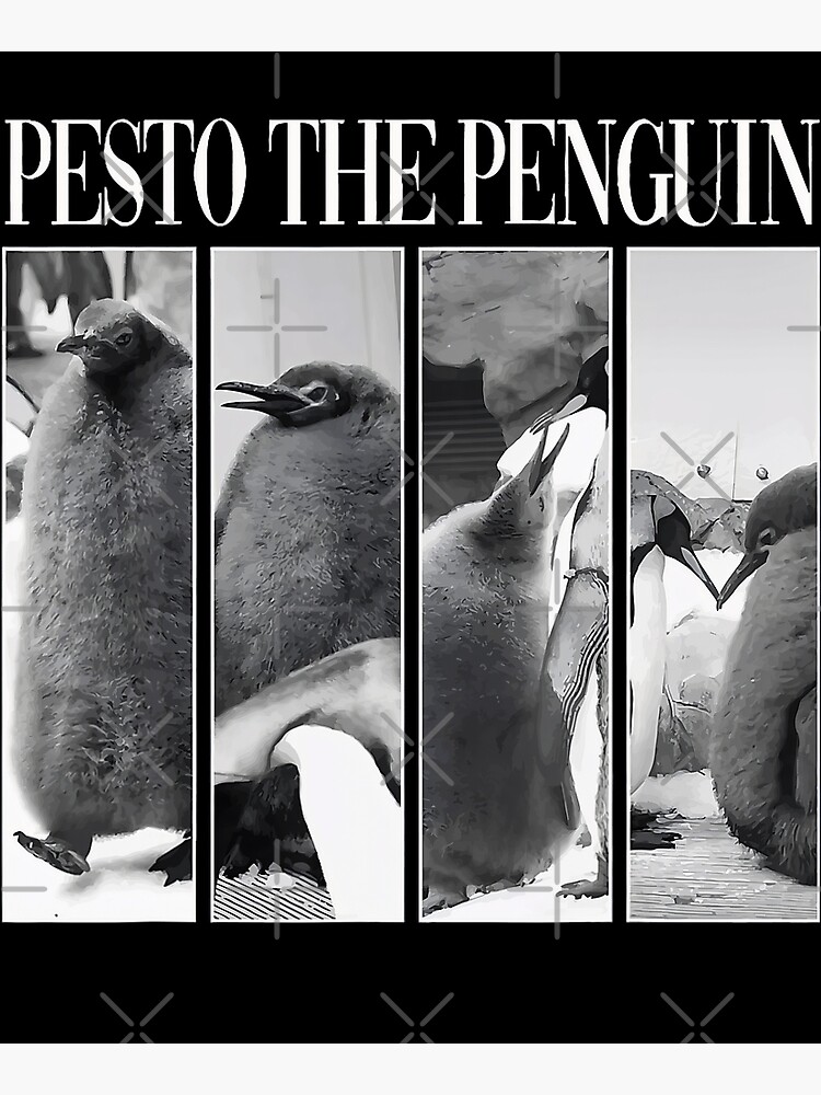 "Pesto The Penguin Famous Bird Meme Black & White" Photographic Print ...