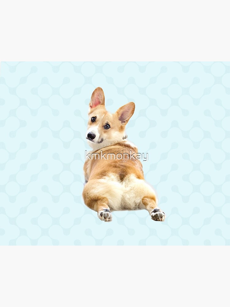 "Corgi Sploots" Art Print for Sale by kmkmonkay | Redbubble