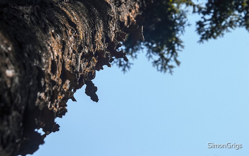 "Shrapnel Tree" by SimonGrigs | Redbubble