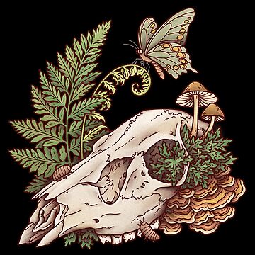 "Decay Doe Deer Skull Vulture Culture Green Witch Vintage Gothic Occult ...
