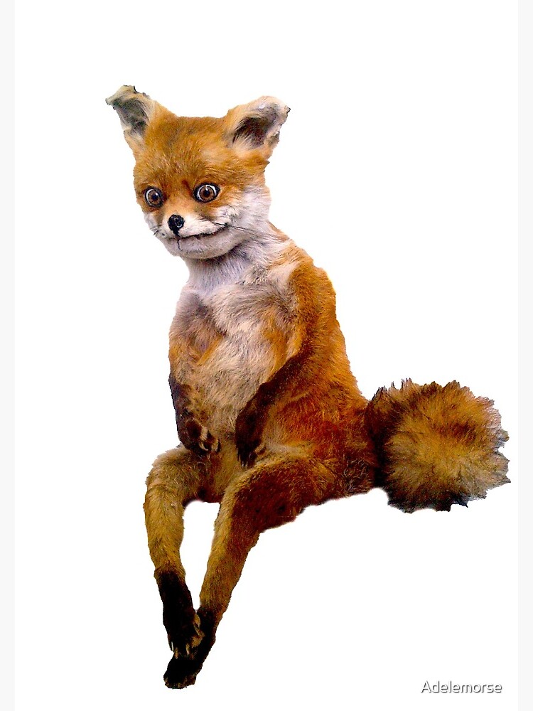 "Stoned fox the Taxidermy Fox Meme" Spiral Notebook for Sale by ...