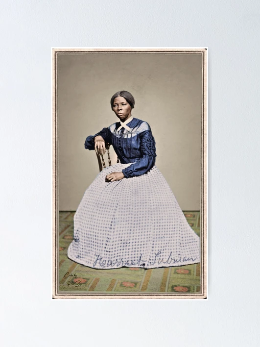 Harriet Tubman Gezocht Poster