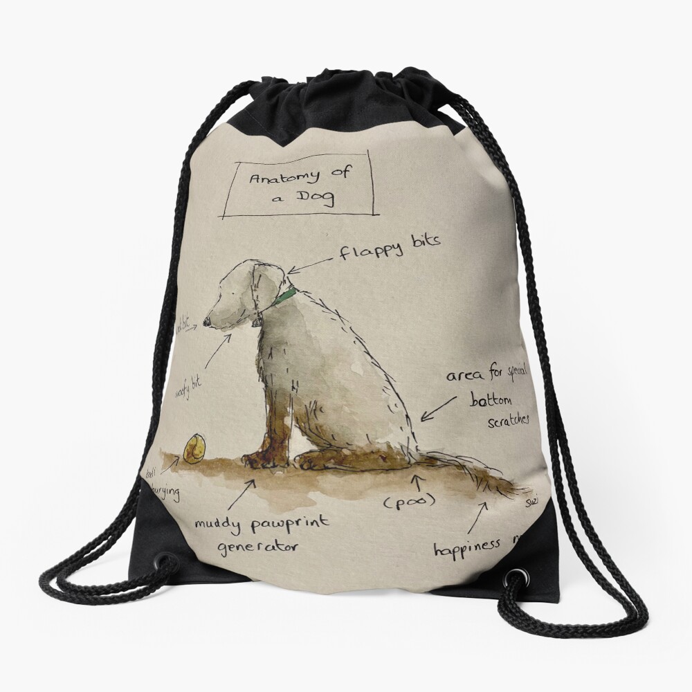 "Anatomy of a dog " Sticker for Sale by SketchingDoctor | Redbubble