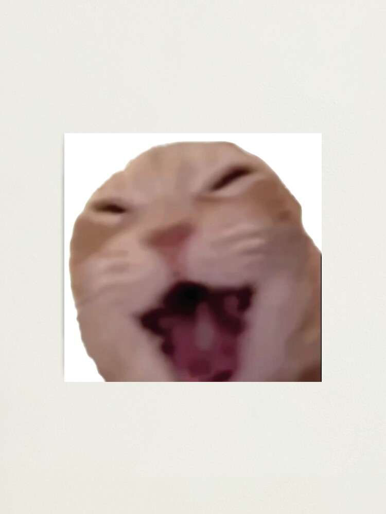 "Laughing Cat Meme" Photographic Print for Sale by Maxgmdss | Redbubble