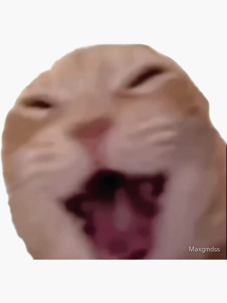 "Laughing Cat Meme" Sticker for Sale by Maxgmdss | Redbubble