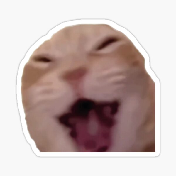 "Laughing Cat Meme" Sticker for Sale by Maxgmdss | Redbubble