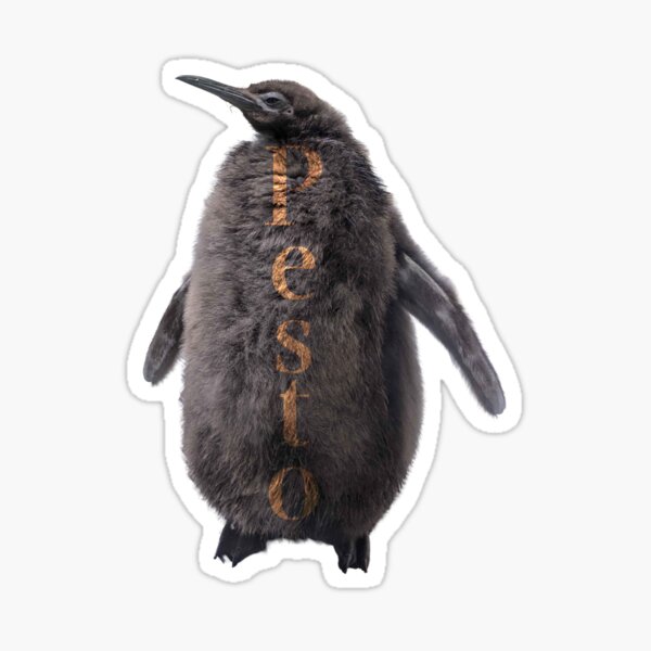 "Pesto the Penguin - Cute and Funny Baby Penguin" Sticker for Sale by ...