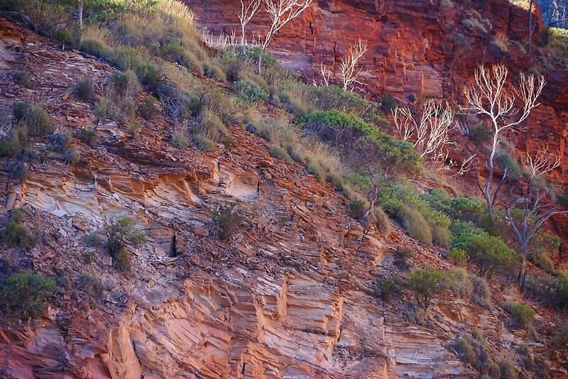 "Austere Beauty" by Harry Oldmeadow | Redbubble