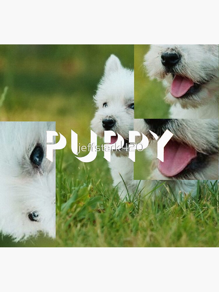"PUPPY BROCKHAMPTON" Sticker by jeffstark420 | Redbubble
