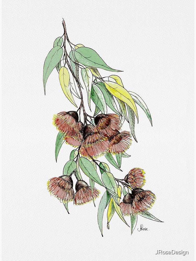 "Red Flowering Gum" Art Print for Sale by JRoseDesign | Redbubble