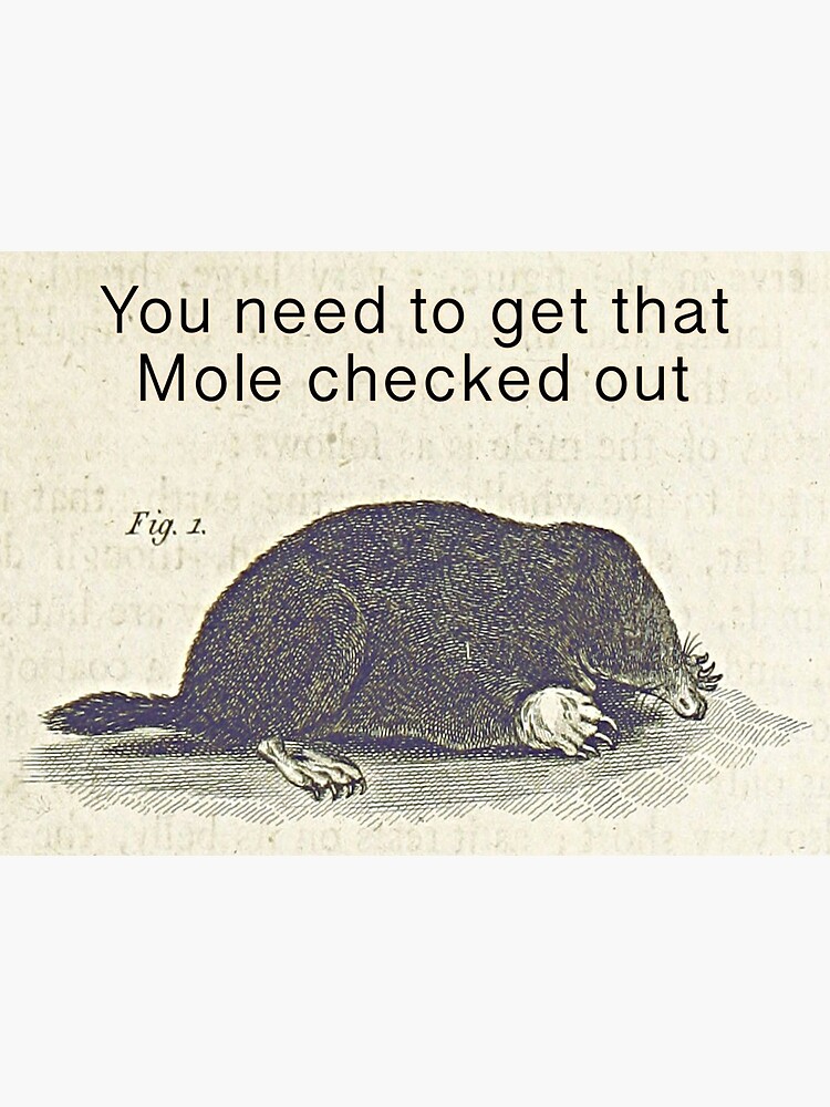 "Funny Vintage Mole Drawing" Greeting Card for Sale by Artistfun ...