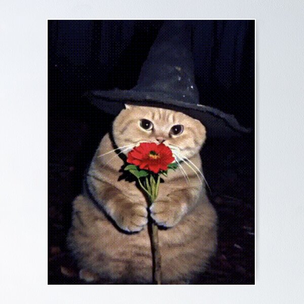 "Cheeseball the Wizard Cat: A Blossom Delivery" Poster for Sale by ...
