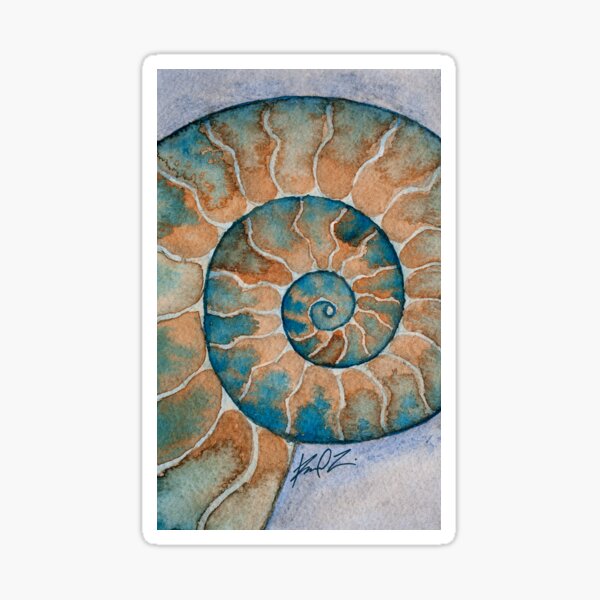 "Ammonite fossil watercolor painting" Sticker by RedFinchDesigns ...