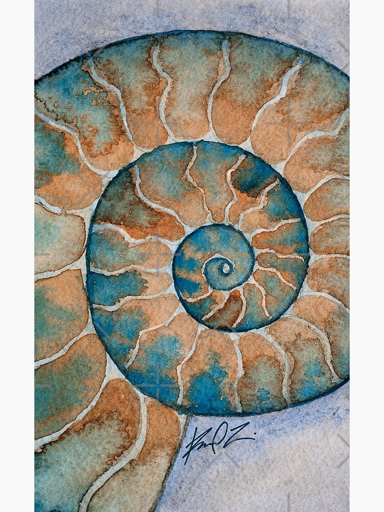 "Ammonite fossil watercolor painting" Art Print by RedFinchDesigns ...