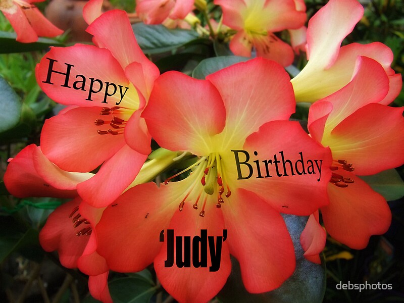 ""Happy Birthday" Judy!" by debsphotos | Redbubble