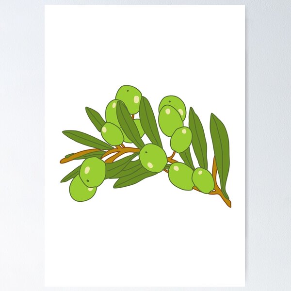 "Olives Green- Crisp" Poster by nekstdesign | Redbubble