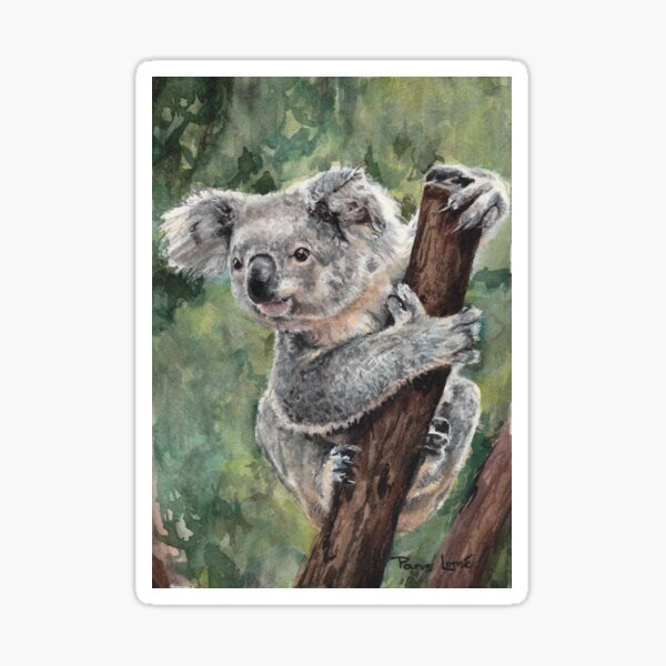 "Koala Bear" Sticker by ParisLome | Redbubble