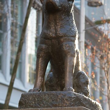 "The statue of Hachiko, the faithful dog" Sticker for Sale by WATARASE ...