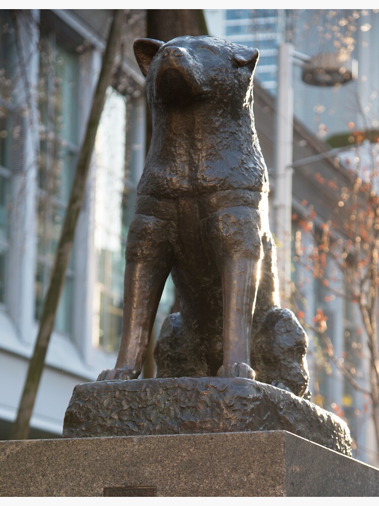 "The statue of Hachiko, the faithful dog" Sticker for Sale by WATARASE ...